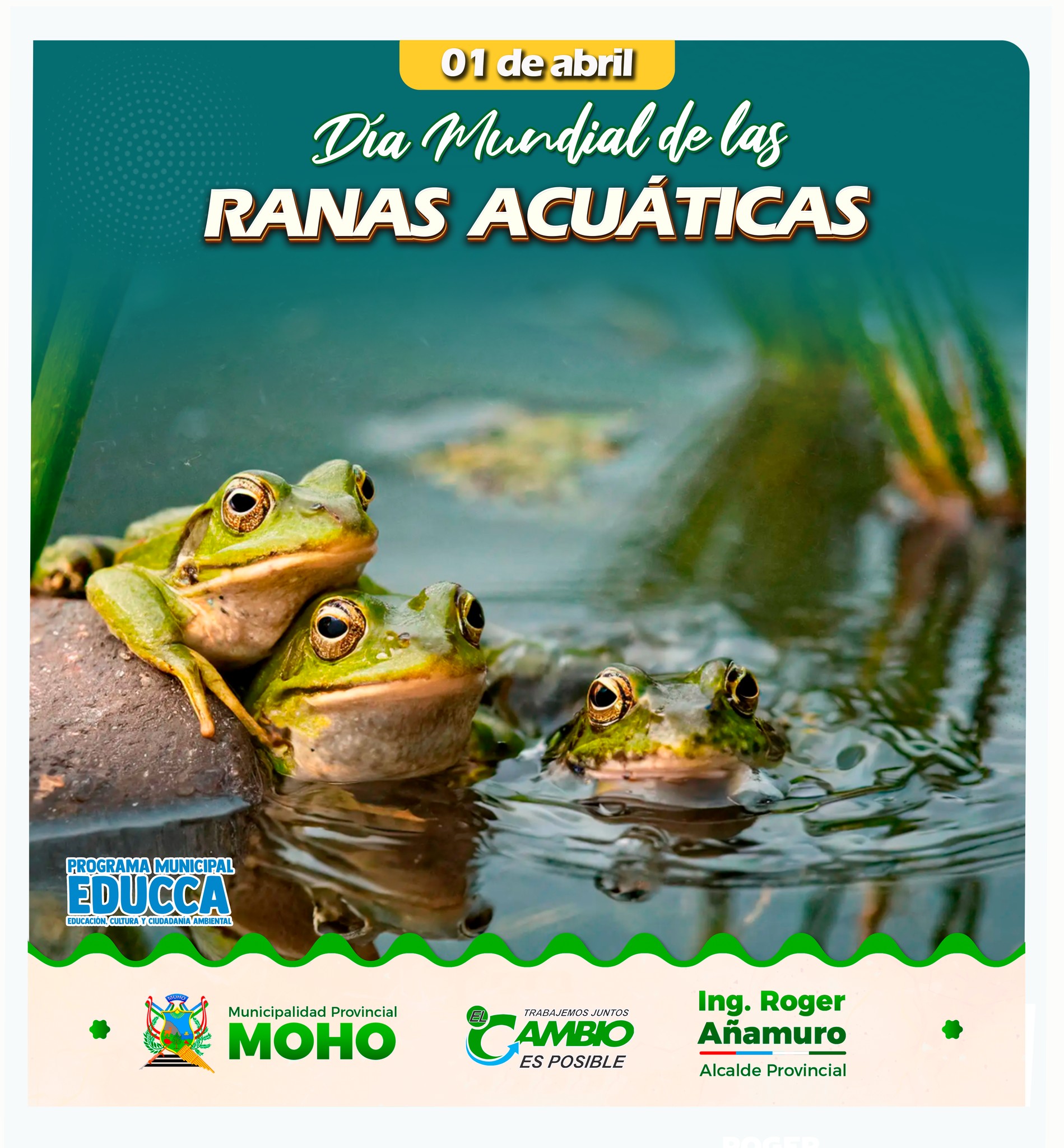 DÍA MUNDIAL DE LAS RANAS ACUÁTICAS - Municipalidad Provincial de Moho